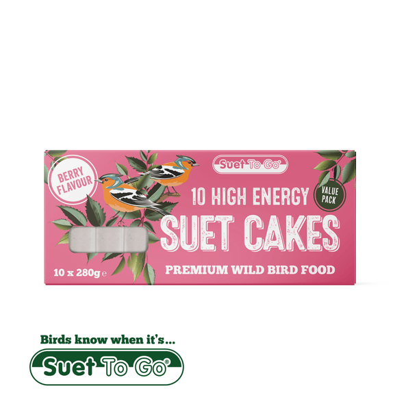 Suet Blocks | Suet Bird Food | Wild Bird Suet Bulk UK – The Birdfood ...